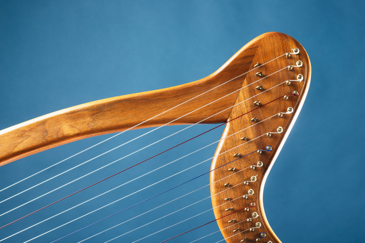 The Best Ethnic Musical Instruments Shop | Sala Muzik